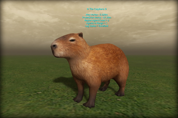 Second Life Marketplace - The Capybara Sim Status Radar - FREE